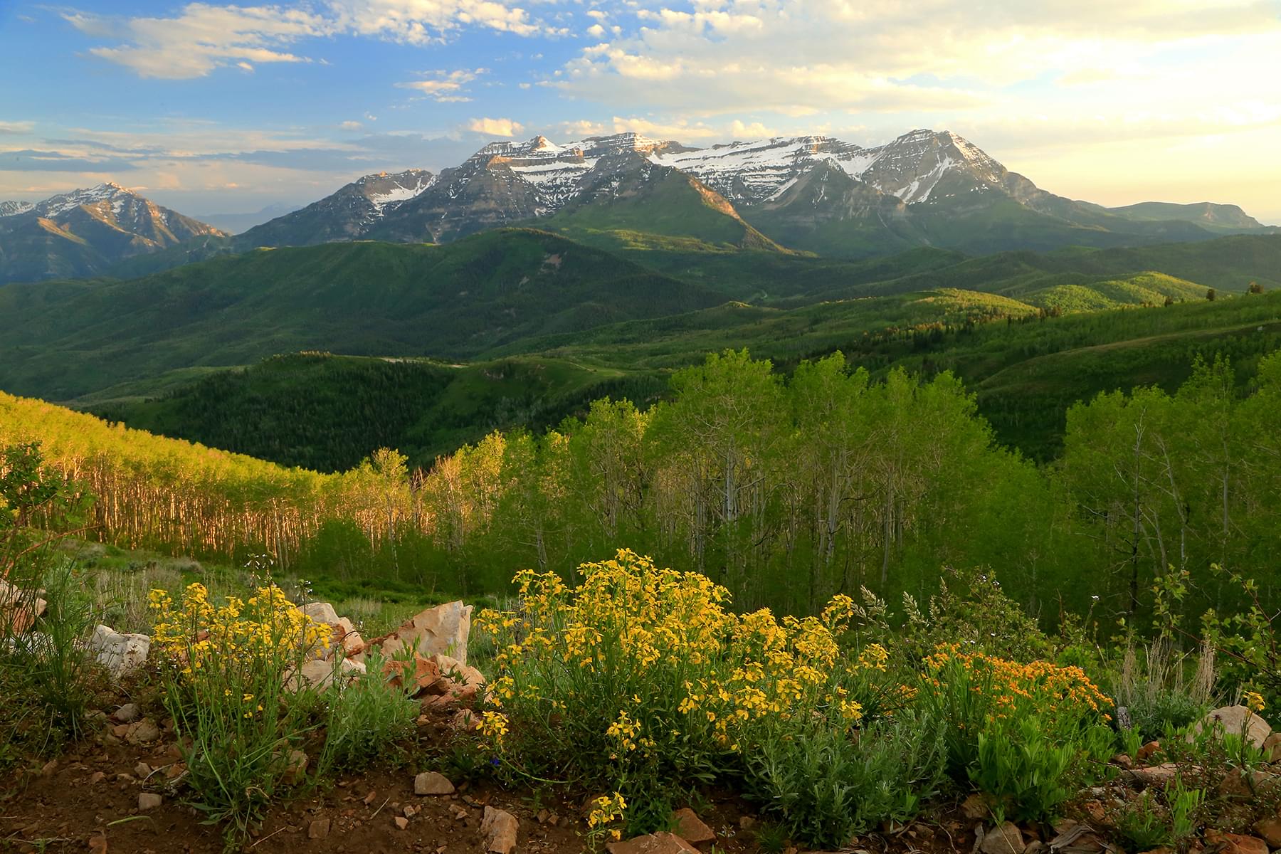 Amazing First Quarter, 2024 - Paragon Wealth Management